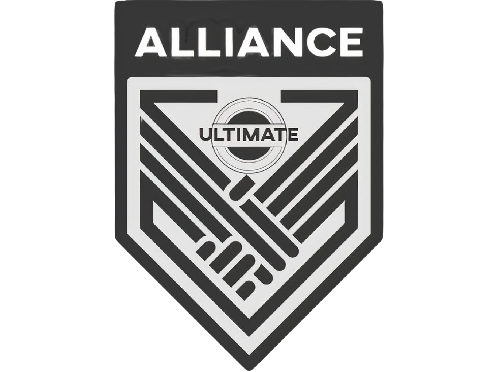 Team Gallery – Alliance Ultimate